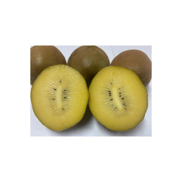 ■お礼品詳細　・配送種別：通常　・提供元：五色青果（小豆島町）■お申し込み・配送・その他　・発送時期：2026-10-12〜2027-01-30　・申込受付期間：〜2026-12-20　・配達外のエリア：　・寄付証明書の送付時期目安：申込完...