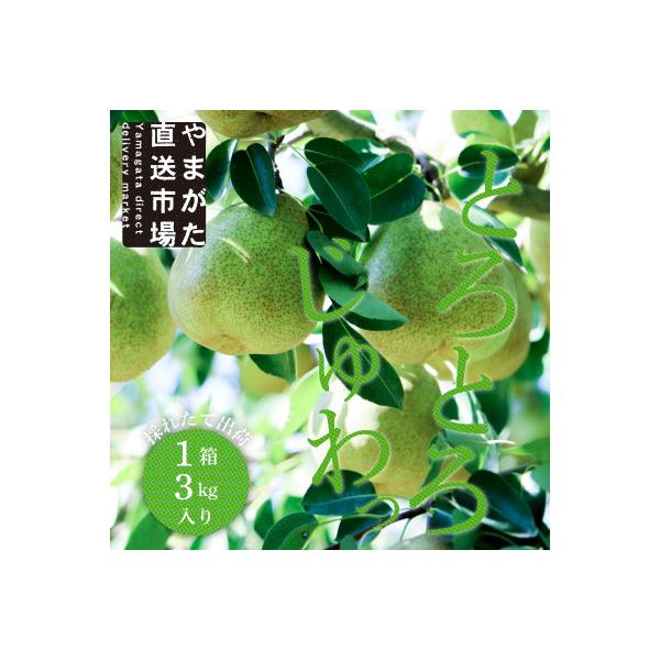 ■お礼品詳細　・配送種別：通常　・提供元：やまがた直送市場■お申し込み・配送・その他　・発送時期：2026-10-26〜2026-12-15(お届け時間帯指定可)　・申込受付期間：〜2026-11-21　・配達外のエリア：　・寄付証明書の送...