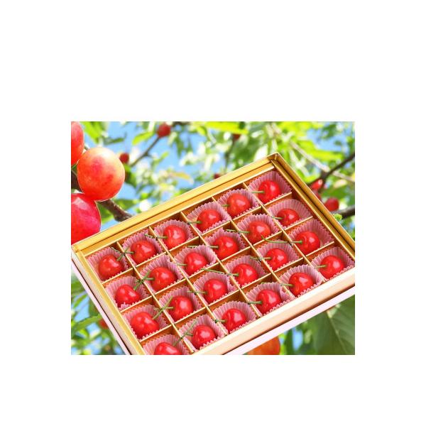 ■お礼品詳細　・配送種別：通常　・提供元：株式会社晴天畑■お申し込み・配送・その他　・発送時期：2026/5/11〜2026/5/29(お届け時間帯指定可)　・申込受付期間：〜2026-04-15　・配達外のエリア：離島、北海道、沖縄県、信...