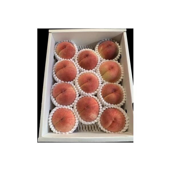 ■お礼品詳細　・配送種別：冷蔵便　・提供元：ＮＪ山形■お申し込み・配送・その他　・発送時期：2026-07-28〜2026-08-31(お届け時間帯指定可)　・申込受付期間：〜2026-07-31　・配達外のエリア：離島　・寄付証明書の送付...