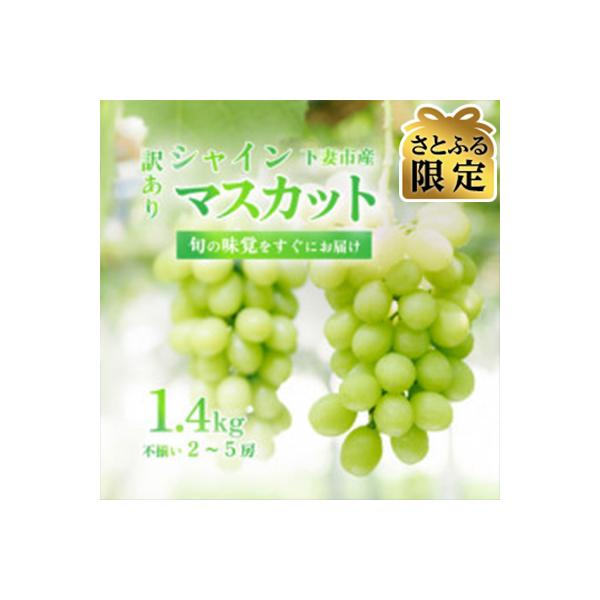 ■お礼品詳細　・配送種別：冷蔵便　・提供元：工房Ｗｅｍａｍ■お申し込み・配送・その他　・発送時期：2026-09-01〜2026-10-15(お届け時間帯指定可)　・申込受付期間：2025-12-08〜2026-09-01　・配達外のエリア...