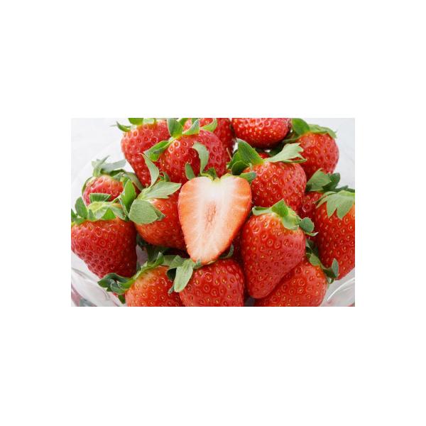 ■お礼品詳細　・配送種別：冷蔵便　・提供元：清水農業協同組合■お申し込み・配送・その他　・発送時期：2026-02-17〜2026-04-11(お届け時間帯指定可)　・申込受付期間：〜2026-03-24　・配達外のエリア：離島　・寄付証明...