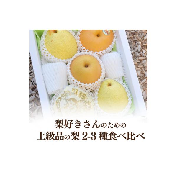 ■お礼品詳細　・配送種別：通常　・提供元：きよとうファーム株式会社（津山市）■お申し込み・配送・その他　・発送時期：2026-10-05〜2026-12-10(お届け時間帯指定可)　・申込受付期間：〜2026-11-16　・配達外のエリア：...