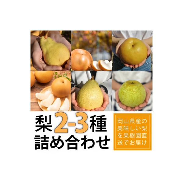■お礼品詳細　・配送種別：通常　・提供元：きよとうファーム株式会社（津山市）■お申し込み・配送・その他　・発送時期：2026-10-05〜2026-12-10(お届け時間帯指定可)　・申込受付期間：〜2026-11-16　・配達外のエリア：...