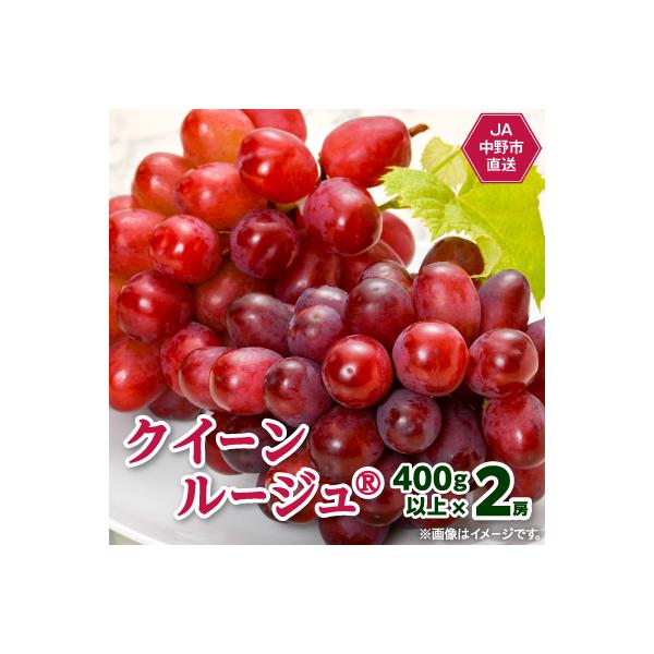 ■お礼品詳細　・配送種別：冷蔵便　・提供元：ＪＡ中野市　営農部　販売開発課■お申し込み・配送・その他　・発送時期：2026/09/18〜2026/10/30(お届け時間帯指定可)　・申込受付期間：〜2026-09-15　・配達外のエリア：離...