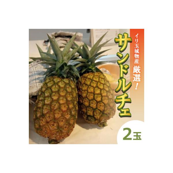 ■お礼品詳細　・配送種別：冷蔵便　・提供元：イリ玉城物産■お申し込み・配送・その他　・発送時期：2026-07-01〜2026-08-31(お届け時間帯指定可)　・申込受付期間：〜2026-07-13　・配達外のエリア：離島　・寄付証明書の...