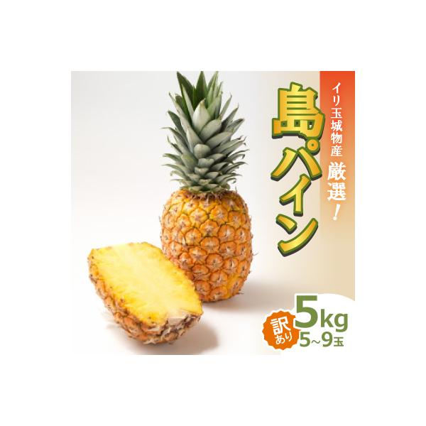 ■お礼品詳細　・配送種別：冷蔵便　・提供元：イリ玉城物産■お申し込み・配送・その他　・発送時期：2026-07-10〜2026-08-31(お届け時間帯指定可)　・申込受付期間：〜2026-06-30　・配達外のエリア：離島　・寄付証明書の...