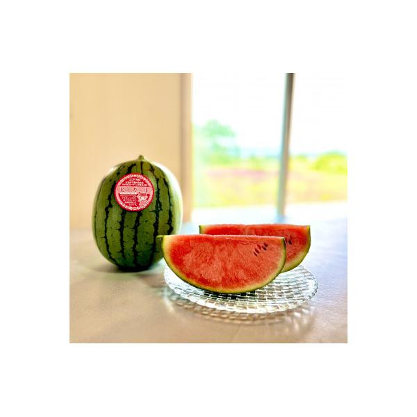 ■お礼品詳細　・配送種別：通常　・提供元：うたう農家■お申し込み・配送・その他　・発送時期：2026-06-01〜2026-07-10(お届け時間帯指定可)　・申込受付期間：〜2026-06-30　・配達外のエリア：　・寄付証明書の送付時期...