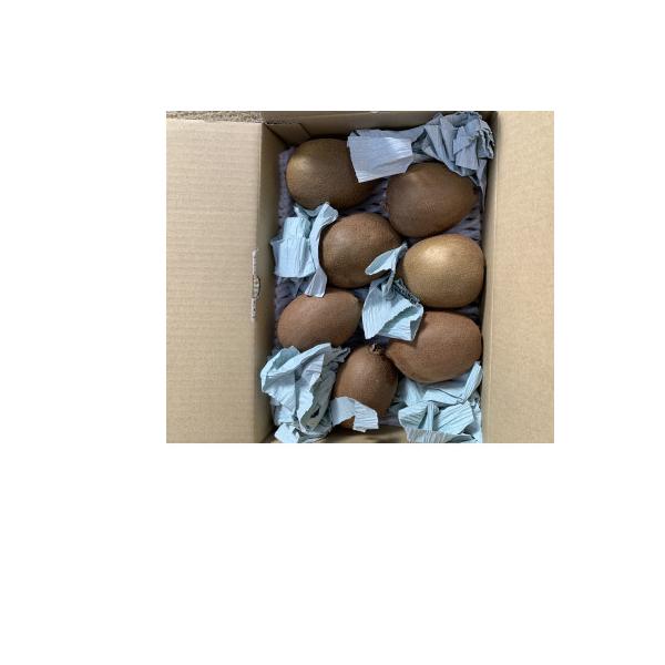 ■お礼品詳細　・配送種別：通常　・提供元：梨・ぶどう・キウイ生産直売　寿園■お申し込み・配送・その他　・発送時期：2026-10-08〜2026-10-27(お届け時間帯指定可)　・申込受付期間：〜2026-10-20　・配達外のエリア：　...