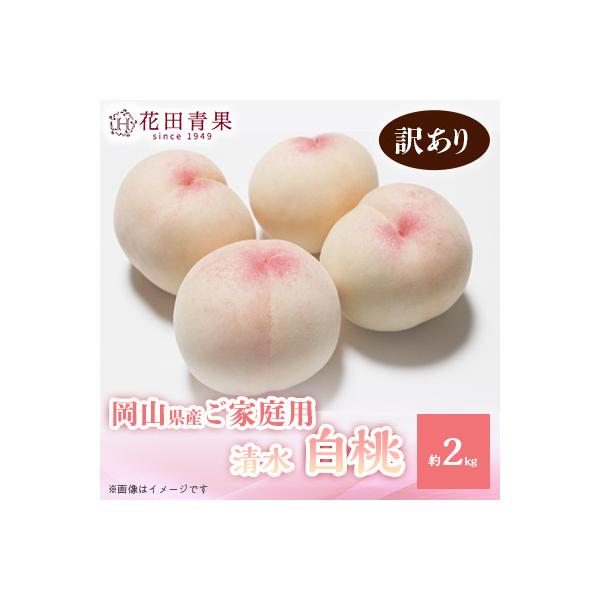 ■お礼品詳細　・配送種別：冷蔵便　・提供元：花田青果株式会社（浅口市）■お申し込み・配送・その他　・発送時期：2026-07-15〜2026-08-05(お届け時間帯指定可)　・申込受付期間：2025-11-22〜2026-07-28　・配...