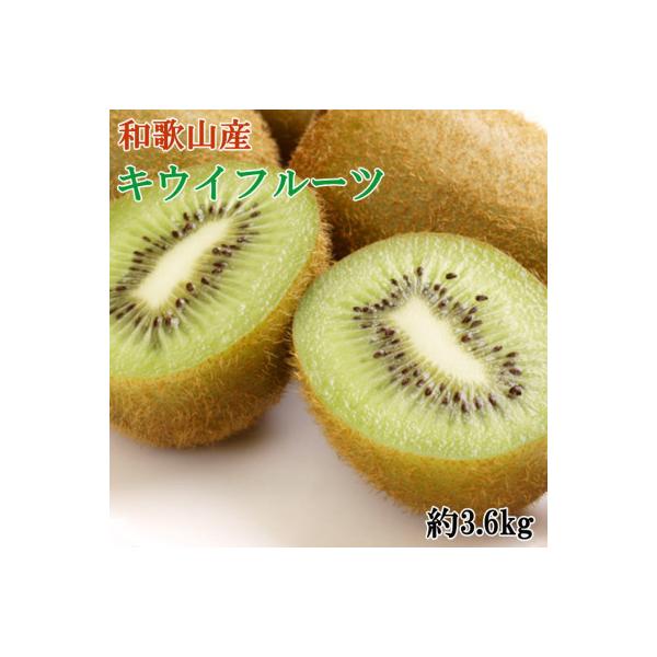 ■お礼品詳細　・配送種別：通常　・提供元：かつらぎ町厳選館（果実事業部）■お申し込み・配送・その他　・発送時期：2026-01-06〜2026-03-05(お届け時間帯指定可)　・申込受付期間：〜2026-02-22　・配達外のエリア：　・...