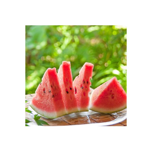 ■お礼品詳細　・配送種別：通常　・提供元：高間商店　本社■お申し込み・配送・その他　・発送時期：2026-05-26〜2026-08-10(お届け時間帯指定可)　・申込受付期間：〜2026-07-15　・配達外のエリア：離島、北海道、沖縄県...