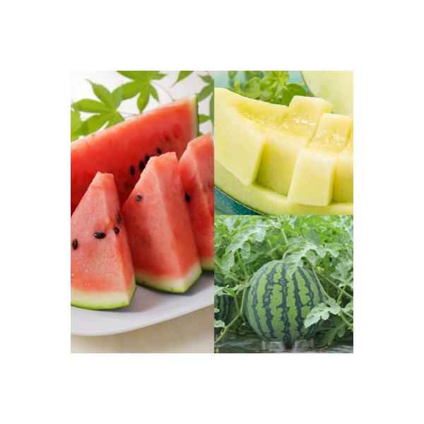 ■お礼品詳細　・配送種別：通常　・提供元：高間商店　本社■お申し込み・配送・その他　・発送時期：2026-06-01〜2026-07-31(お届け時間帯指定可)　・申込受付期間：〜2026-07-15　・配達外のエリア：離島、北海道、沖縄県...