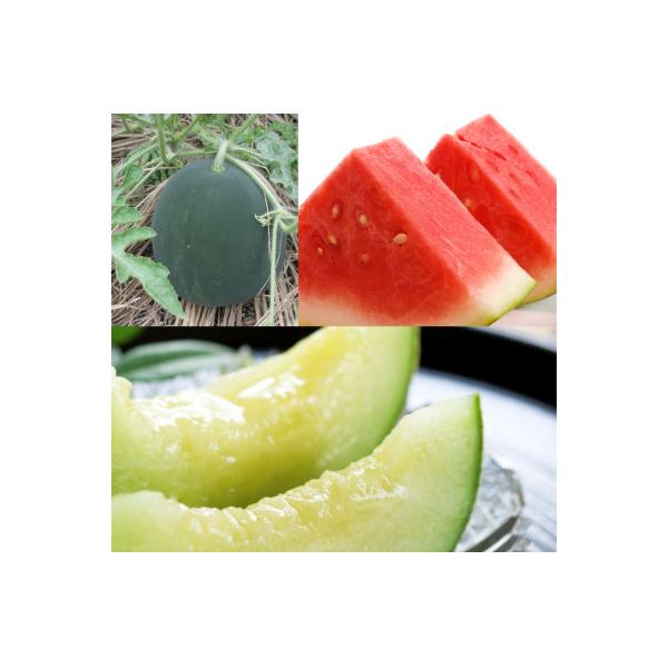 ■お礼品詳細　・配送種別：通常　・提供元：高間商店　本社■お申し込み・配送・その他　・発送時期：2026-06-01〜2026-07-31(お届け時間帯指定可)　・申込受付期間：〜2026-07-15　・配達外のエリア：離島、北海道、沖縄県...