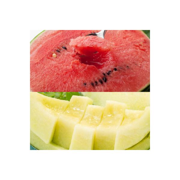 ■お礼品詳細　・配送種別：通常　・提供元：高間商店　本社■お申し込み・配送・その他　・発送時期：2026-06-01〜2026-07-25(お届け時間帯指定可)　・申込受付期間：〜2026-07-15　・配達外のエリア：離島、北海道、沖縄県...