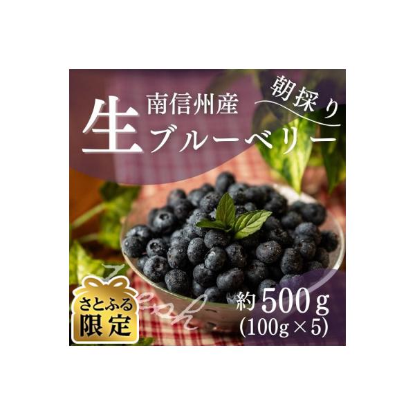 ■お礼品詳細　・配送種別：冷蔵便　・提供元：ＪＡみなみ信州　ＤＭセンター（豊丘村）■お申し込み・配送・その他　・発送時期：2026-06-22〜2026-07-01(お届け時間帯指定可)　・申込受付期間：〜2026-06-22　・配達外のエ...