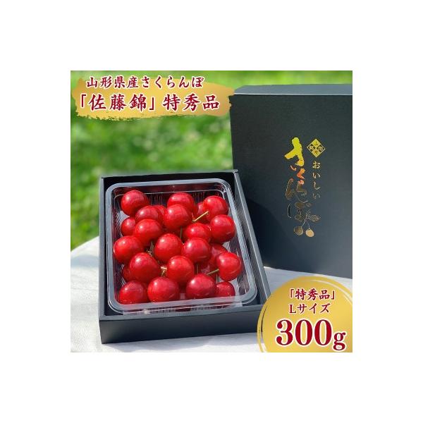 ■お礼品詳細　・配送種別：冷蔵便　・提供元：株式会社アンスリーファーム（山形県）■お申し込み・配送・その他　・発送時期：2026-06-05〜2026-06-30(お届け時間帯指定可)　・申込受付期間：〜2026-06-05　・配達外のエリ...