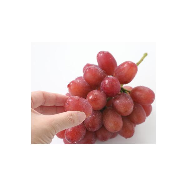 ■お礼品詳細　・配送種別：冷蔵便　・提供元：山下屋荘介（高森町）■お申し込み・配送・その他　・発送時期：2026-10-15〜2026-11-06(お届け時間帯指定可)　・申込受付期間：2025-12-01〜2026-03-31　・配達外の...