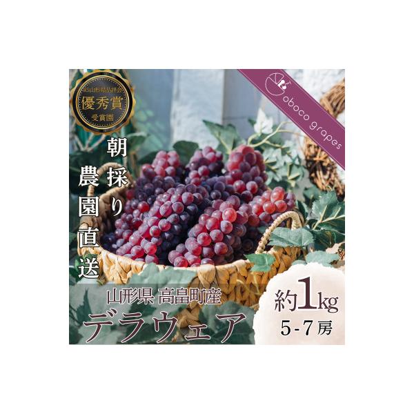 ■お礼品詳細　・配送種別：冷蔵便　・提供元：ｏｂｏｃｏ　ｇｒａｐｅｓ■お申し込み・配送・その他　・発送時期：2026-08-01〜2026-08-31(お届け時間帯指定可)　・申込受付期間：〜2026-08-15　・配達外のエリア：離島　・...