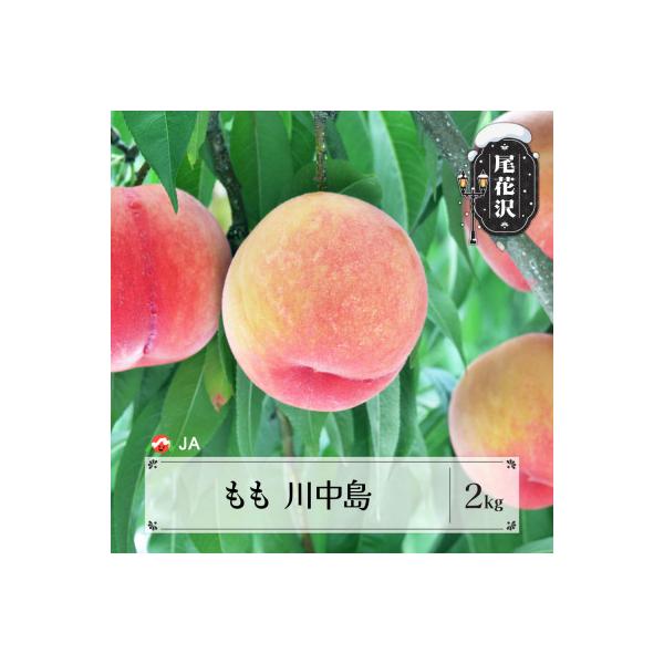 ■お礼品詳細　・配送種別：通常　・提供元：ＪＡみちのく村山　尾花沢産地直売所■お申し込み・配送・その他　・発送時期：2026-08-10〜2026-09-10(お届け時間帯指定可)　・申込受付期間：〜2026-08-20　・配達外のエリア：...