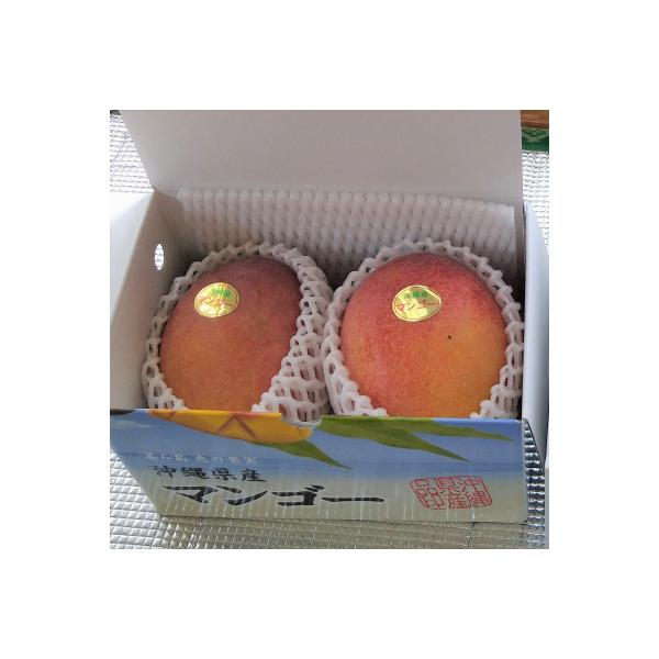 ■お礼品詳細　・配送種別：冷蔵便　・提供元：あらかき農園■お申し込み・配送・その他　・発送時期：2026-06-30〜2026-07-30(お届け時間帯指定可)　・申込受付期間：〜2026-06-30　・配達外のエリア：離島　・寄付証明書の...