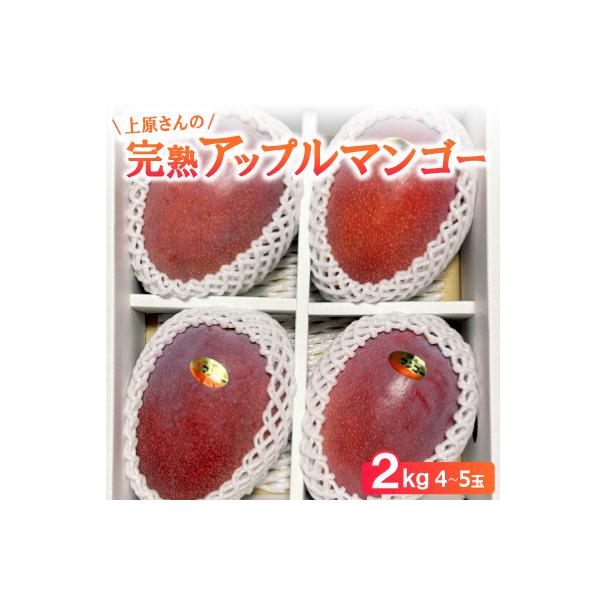 ■お礼品詳細　・配送種別：通常　・提供元：上原　幸浩■お申し込み・配送・その他　・発送時期：2026-06-20〜2026-07-31(お届け時間帯指定可)　・申込受付期間：〜2026-07-20　・配達外のエリア：離島　・寄付証明書の送付...