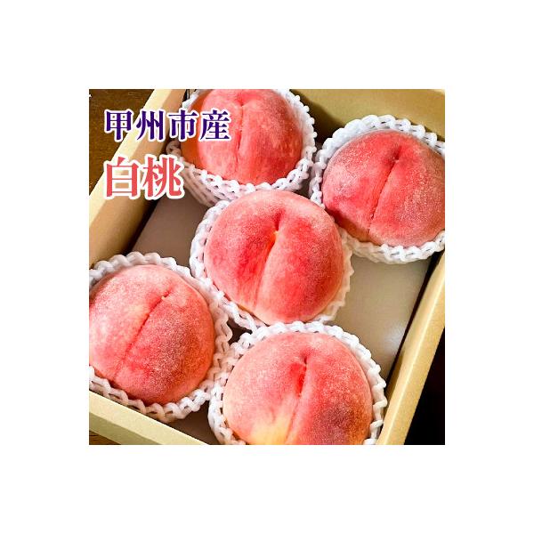 ■お礼品詳細　・配送種別：冷蔵便　・提供元：甲斐フルーツ株式会社（甲州市）■お申し込み・配送・その他　・発送時期：2026-07-20〜2026-08-15(お届け時間帯指定可)　・申込受付期間：〜2026-07-31　・配達外のエリア：離...