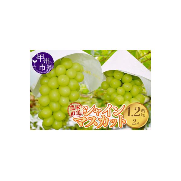 ■お礼品詳細　・配送種別：冷蔵便　・提供元：さんちゃんファーム株式会社（甲州市）■お申し込み・配送・その他　・発送時期：2026-09-05〜2026-10-15(お届け時間帯指定可)　・申込受付期間：〜2026-08-31　・配達外のエリ...