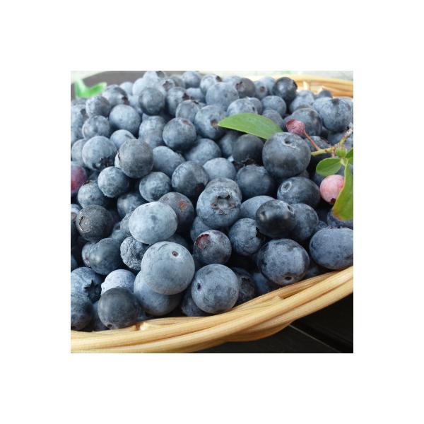 ■お礼品詳細　・配送種別：冷蔵便　・提供元：榎本はちみつベリーファーム■お申し込み・配送・その他　・発送時期：2026-07-07〜2026-08-16　・申込受付期間：〜2026-05-09　・配達外のエリア：離島　・寄付証明書の送付時期...