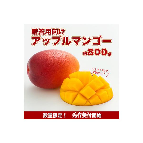 ■お礼品詳細　・配送種別：冷蔵便　・提供元：一般社団法人　南城市観光協会地域物産館■お申し込み・配送・その他　・発送時期：2026-06-22〜2026-07-31(お届け時間帯指定可)　・申込受付期間：〜2026-03-31　・配達外のエ...