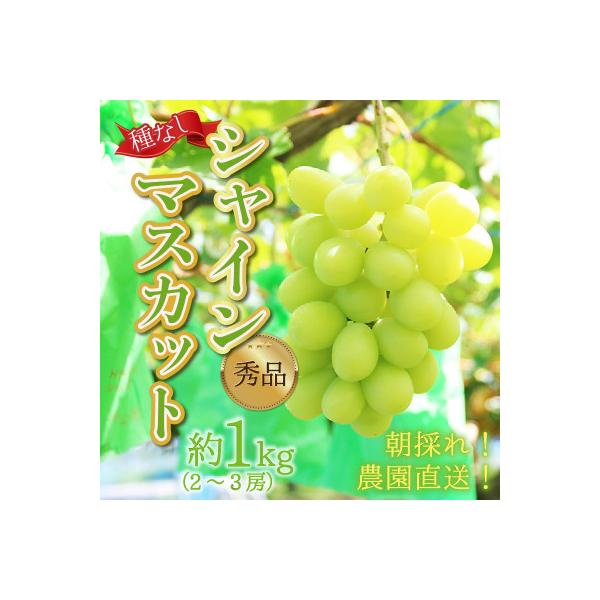 ■お礼品詳細　・配送種別：通常　・提供元：上野梨園■お申し込み・配送・その他　・発送時期：2026-08-28〜2026-09-30(お届け時間帯指定可)　・申込受付期間：〜2026-08-23　・配達外のエリア：離島、沖縄県　・寄付証明書...