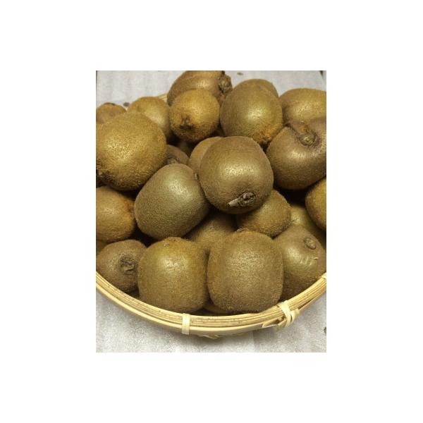 ■お礼品詳細　・配送種別：通常　・提供元：（株）渋谷農園■お申し込み・配送・その他　・発送時期：2025-12-01〜2026-06-07(お届け時間帯指定可)　・申込受付期間：2025-11-20〜2026-05-30　・配達外のエリア：...