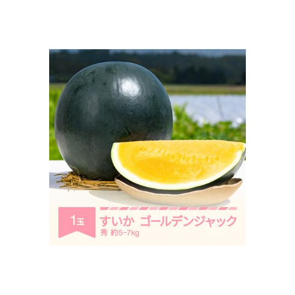 ■お礼品詳細　・配送種別：通常　・提供元：(一社）村山市観光物産協会■お申し込み・配送・その他　・発送時期：2026-07-20〜2026-08-12(お届け時間帯指定可)　・申込受付期間：2025-09-29〜2026-02-28　・配達...