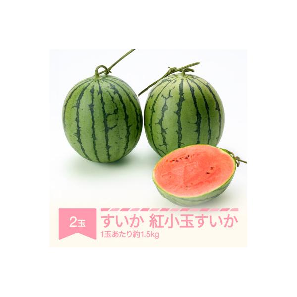 ■お礼品詳細　・配送種別：通常　・提供元：(一社）村山市観光物産協会■お申し込み・配送・その他　・発送時期：2026-07-06〜2026-07-24(お届け時間帯指定可)　・申込受付期間：2025-09-29〜2026-02-28　・配達...