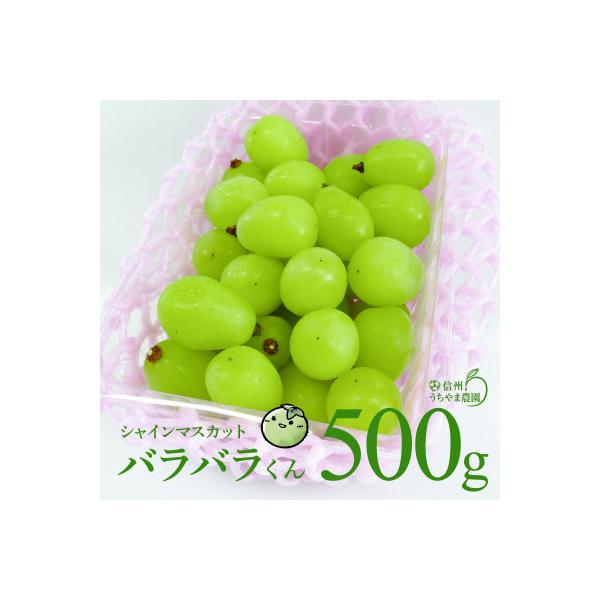 ■お礼品詳細　・配送種別：冷蔵便　・提供元：信州うちやま農園（長野県庁）■お申し込み・配送・その他　・発送時期：2026/01/05〜2026/01/30(お届け時間帯指定可)　・申込受付期間：〜2026-01-05　・配達外のエリア：離島...