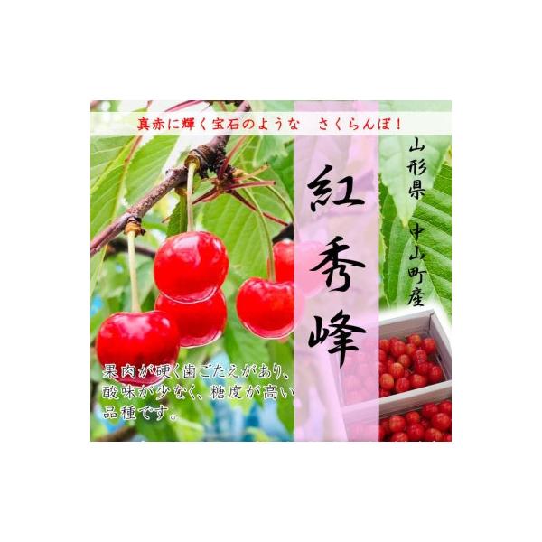 ■お礼品詳細　・配送種別：冷蔵便　・提供元：株式会社山美ファーム■お申し込み・配送・その他　・発送時期：2026/06/15〜2026/06/30(お届け時間帯指定可)　・申込受付期間：2025-07-31〜2026-05-31　・配達外の...