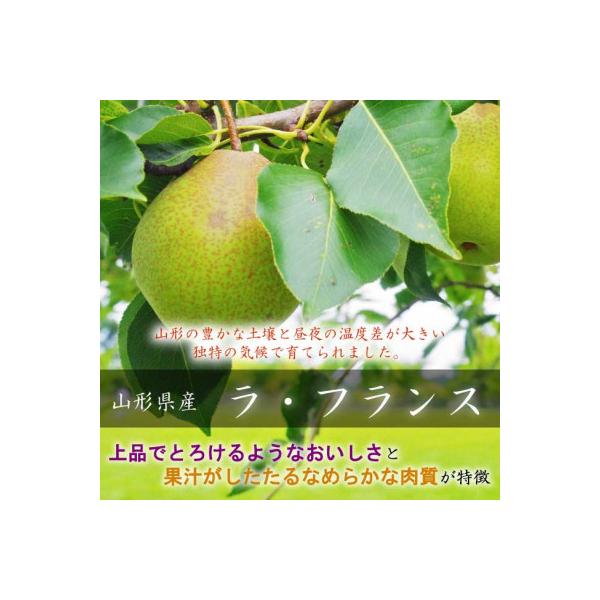 ■お礼品詳細　・配送種別：通常　・提供元：山美ファーム■お申し込み・配送・その他　・発送時期：2026-10-25〜2026-11-30(お届け時間帯指定可)　・申込受付期間：2025-10-01〜2026-09-30　・配達外のエリア：　...