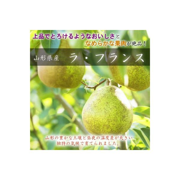 ■お礼品詳細　・配送種別：通常　・提供元：山美ファーム■お申し込み・配送・その他　・発送時期：2026-10-26〜2026-11-30(お届け時間帯指定可)　・申込受付期間：2025-10-01〜2026-09-30　・配達外のエリア：　...