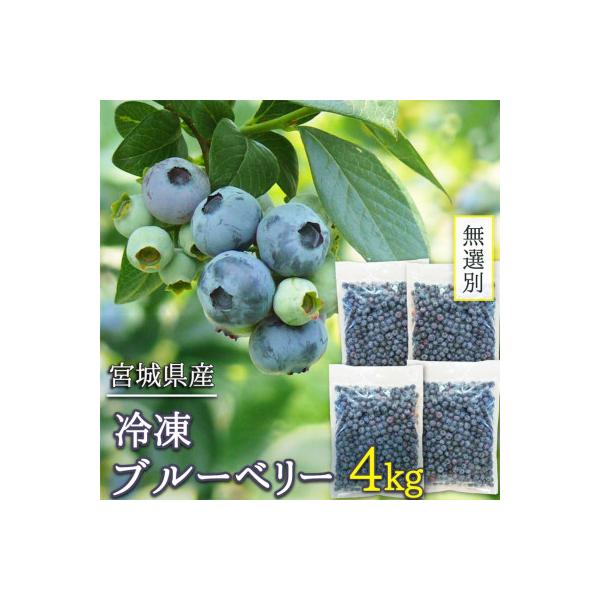 ■お礼品詳細　・配送種別：冷凍便　・提供元：伊豆沼農産■お申し込み・配送・その他　・発送時期：2026-01-08より順次発送 ※生産・天候・交通等の事情により遅れる場合があります。(お届け時間帯指定可)　・申込受付期間：通年　・配達外のエ...