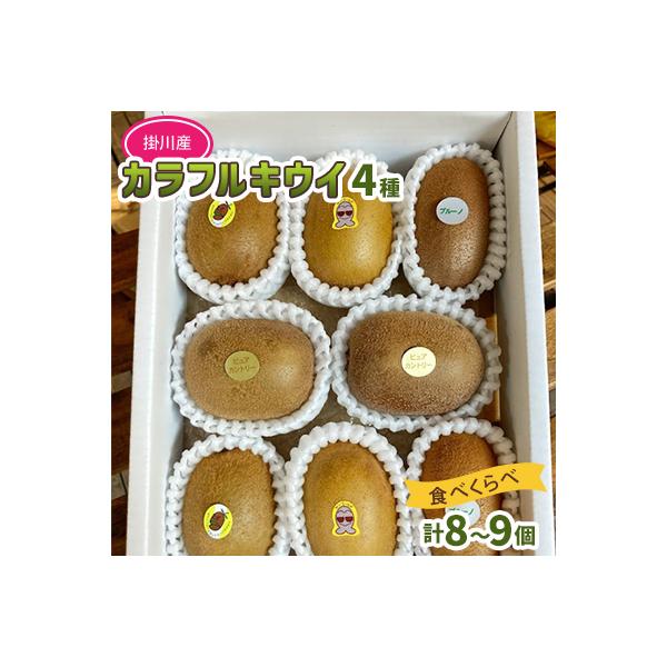 ■お礼品詳細　・配送種別：冷蔵便　・提供元：キウイフルーツカントリーＪａｐａｎ■お申し込み・配送・その他　・発送時期：2025-11-01〜2026-02-28(お届け時間帯指定可)　・申込受付期間：〜2026-02-20　・配達外のエリア...