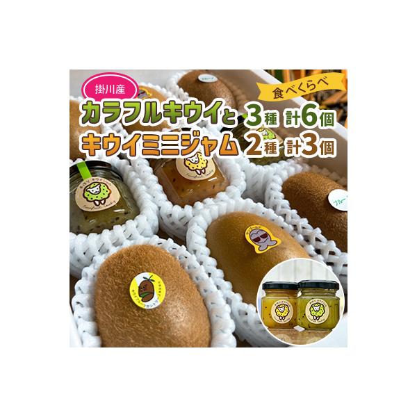 ■お礼品詳細　・配送種別：冷蔵便　・提供元：キウイフルーツカントリーＪａｐａｎ■お申し込み・配送・その他　・発送時期：2025-11-01〜2026-02-28(お届け時間帯指定可)　・申込受付期間：〜2026-02-20　・配達外のエリア...