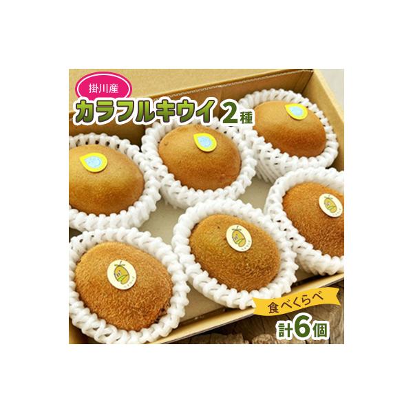 ■お礼品詳細　・配送種別：冷蔵便　・提供元：キウイフルーツカントリーＪａｐａｎ■お申し込み・配送・その他　・発送時期：2025-11-01〜2026-02-28(お届け時間帯指定可)　・申込受付期間：〜2026-02-20　・配達外のエリア...