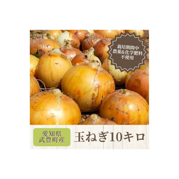 ■お礼品詳細　・配送種別：通常　・提供元：農園ベジーネ■お申し込み・配送・その他　・発送時期：2026-04-01〜2026-05-31(お届け時間帯指定可)　・申込受付期間：2025-09-26〜2026-05-15　・配達外のエリア：　...