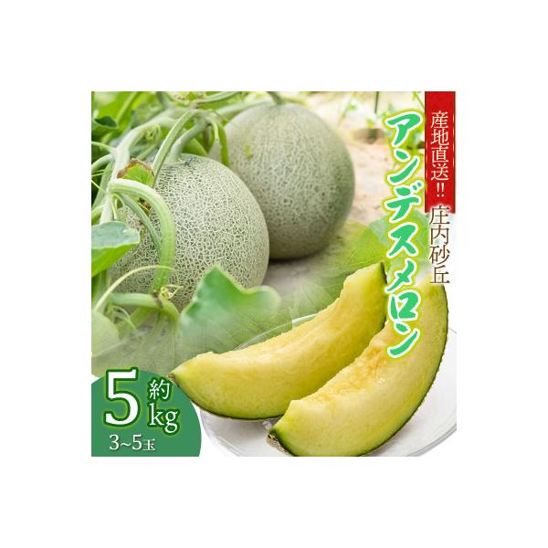 ■お礼品詳細　・配送種別：通常　・提供元：鶴岡地区物産協同組合／佐藤農園■お申し込み・配送・その他　・発送時期：2026-07-02(お届け時間帯指定可)　・申込受付期間：〜2026-06-27　・配達外のエリア：離島、沖縄県　・寄付証明書...