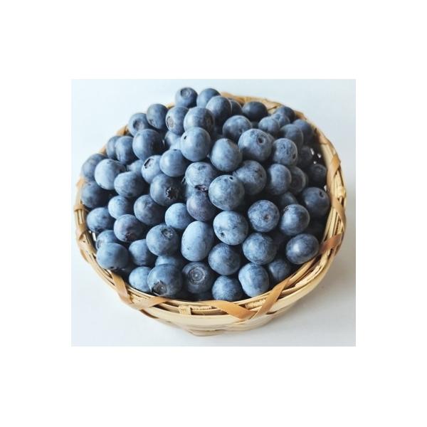 ■お礼品詳細　・配送種別：冷蔵便　・提供元：甲斐駒ベリーファーム■お申し込み・配送・その他　・発送時期：2026-07-01〜2026-09-10(お届け時間帯指定可)　・申込受付期間：〜2026-05-31　・配達外のエリア：離島　・寄付...