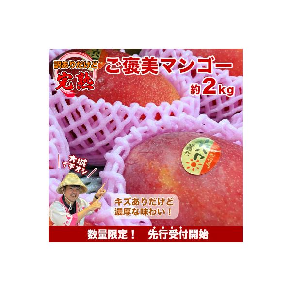 ■お礼品詳細　・配送種別：冷蔵便　・提供元：一般社団法人　南城市観光協会地域物産館■お申し込み・配送・その他　・発送時期：2026-06-22〜2026-07-31(お届け時間帯指定可)　・申込受付期間：〜2026-03-31　・配達外のエ...