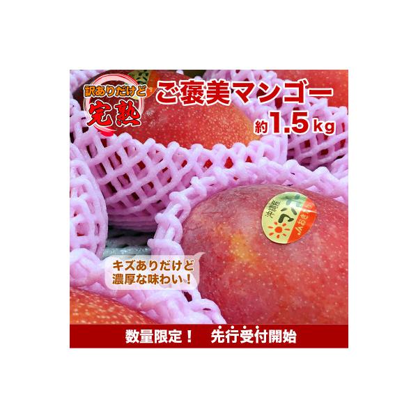 ■お礼品詳細　・配送種別：冷蔵便　・提供元：一般社団法人　南城市観光協会地域物産館■お申し込み・配送・その他　・発送時期：2026-06-22〜2026-07-31(お届け時間帯指定可)　・申込受付期間：〜2026-03-31　・配達外のエ...