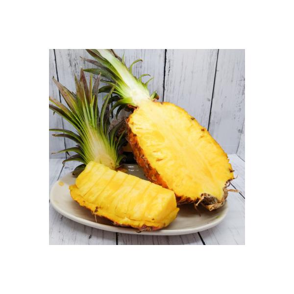 ■お礼品詳細　・配送種別：冷蔵便　・提供元：イリ玉城物産■お申し込み・配送・その他　・発送時期：2026-08-01〜2026-09-20(お届け時間帯指定可)　・申込受付期間：〜2026-07-31　・配達外のエリア：離島　・寄付証明書の...