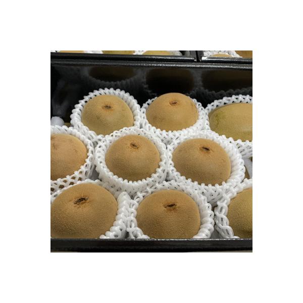 ■お礼品詳細　・配送種別：通常　・提供元：有限会社造田商店■お申し込み・配送・その他　・発送時期：2026-10-20〜2026-11-17(お届け時間帯指定可)　・申込受付期間：2025-12-01〜2026-10-15　・配達外のエリア...