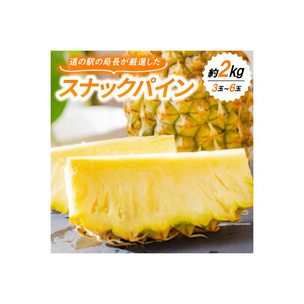 ■お礼品詳細　・配送種別：冷蔵便　・提供元：道の駅ゆいゆい国頭（ふるさと市）■お申し込み・配送・その他　・発送時期：2026-07-04〜2026-09-30(お届け時間帯指定可)　・申込受付期間：〜2026-07-31　・配達外のエリア：...